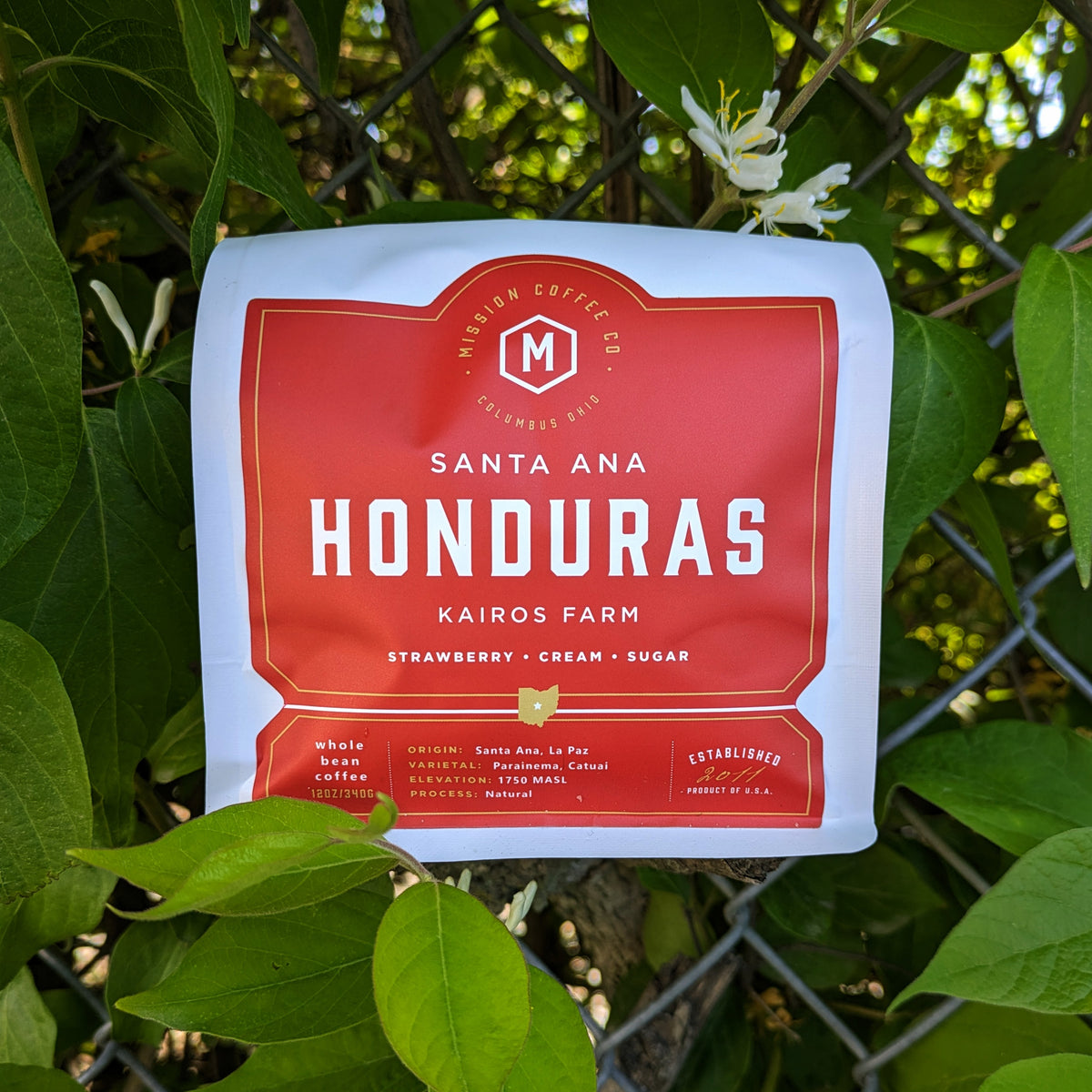 COFFEE OFFERINGS | MISSION COFFEE CO | COLUMBUS, OHIO | Mission Coffee